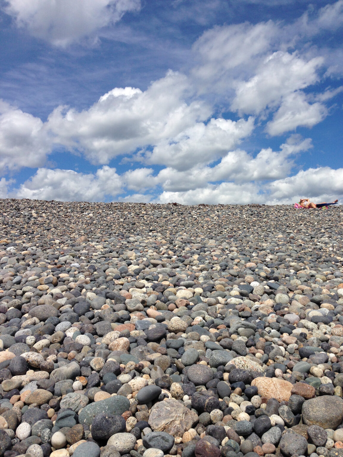 Goldthwait Reservation – A private, non-profit land trust that ...