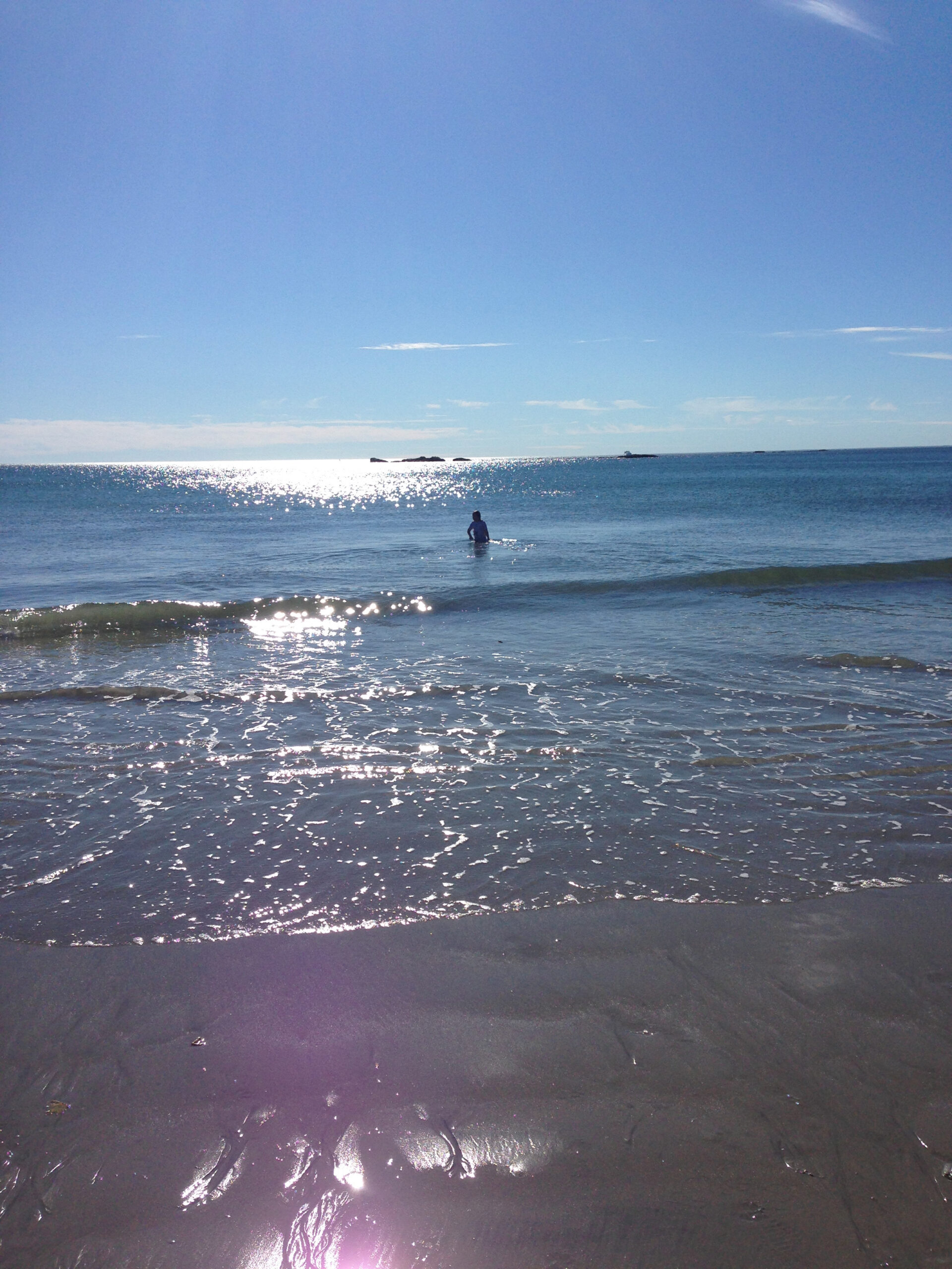 Goldthwait Reservation – A private, non-profit land trust that ...